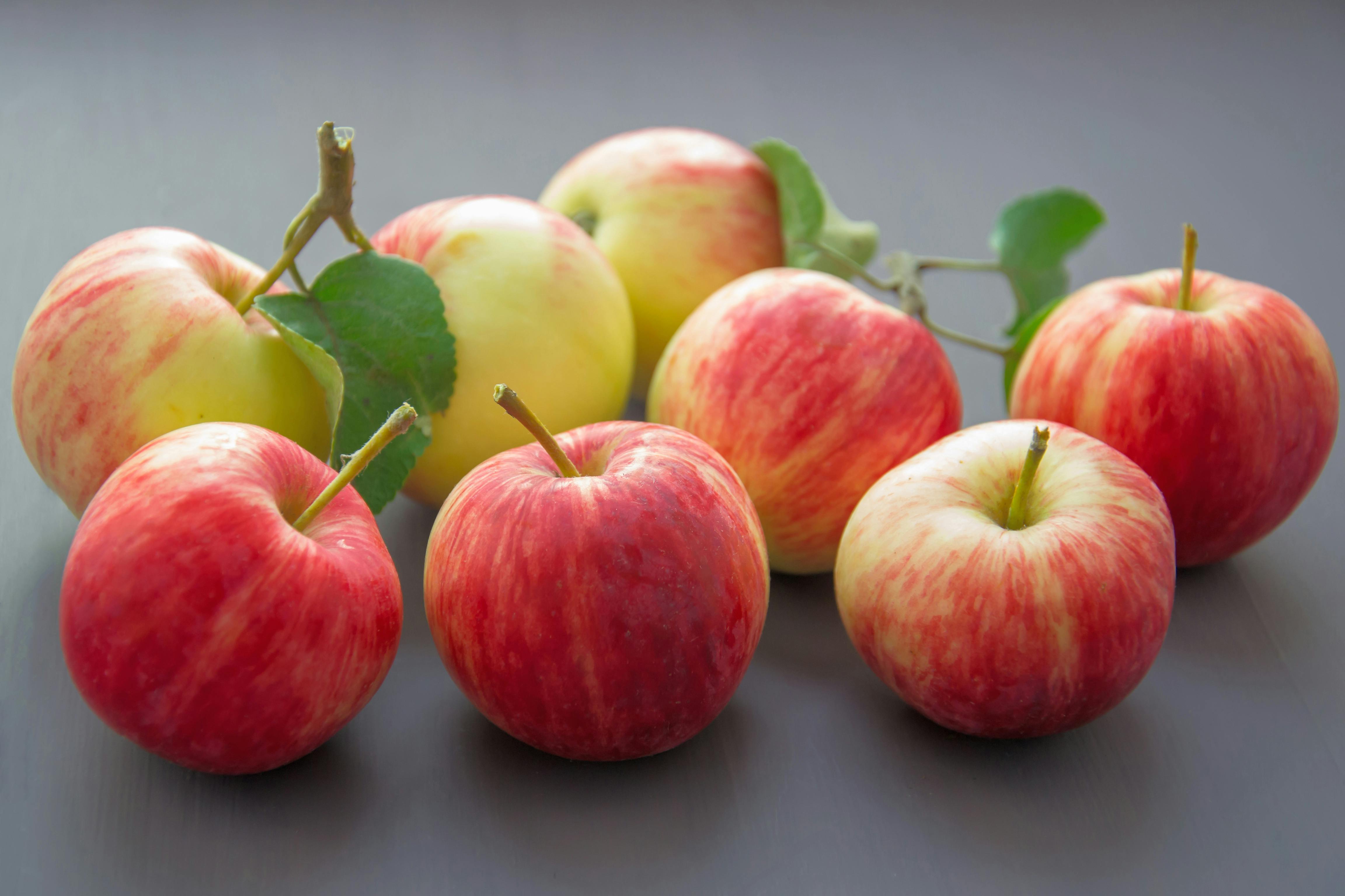 Apple - Dwarf 'Tropic Sweet' | Trewallyn Nursery